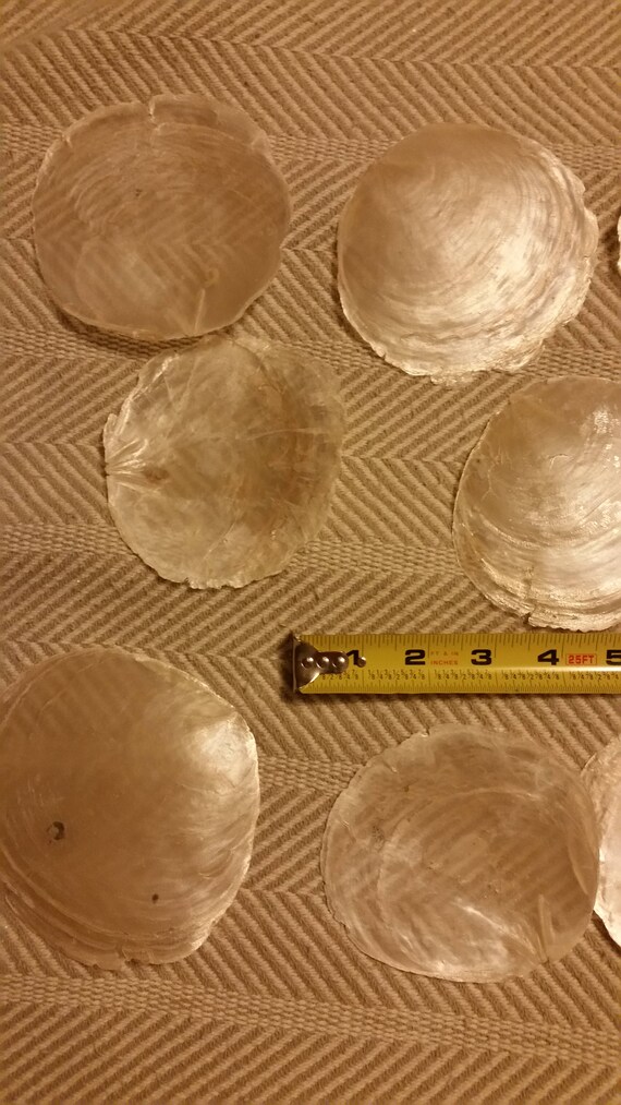 Crafts Supplies 3 6 12 15 25 50 75 or 100 pieces Capiz Raw Edge ...