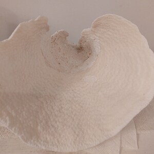 Real Reef CUP Coral Exotic Coral Natural Approx 6 to 9 - Etsy