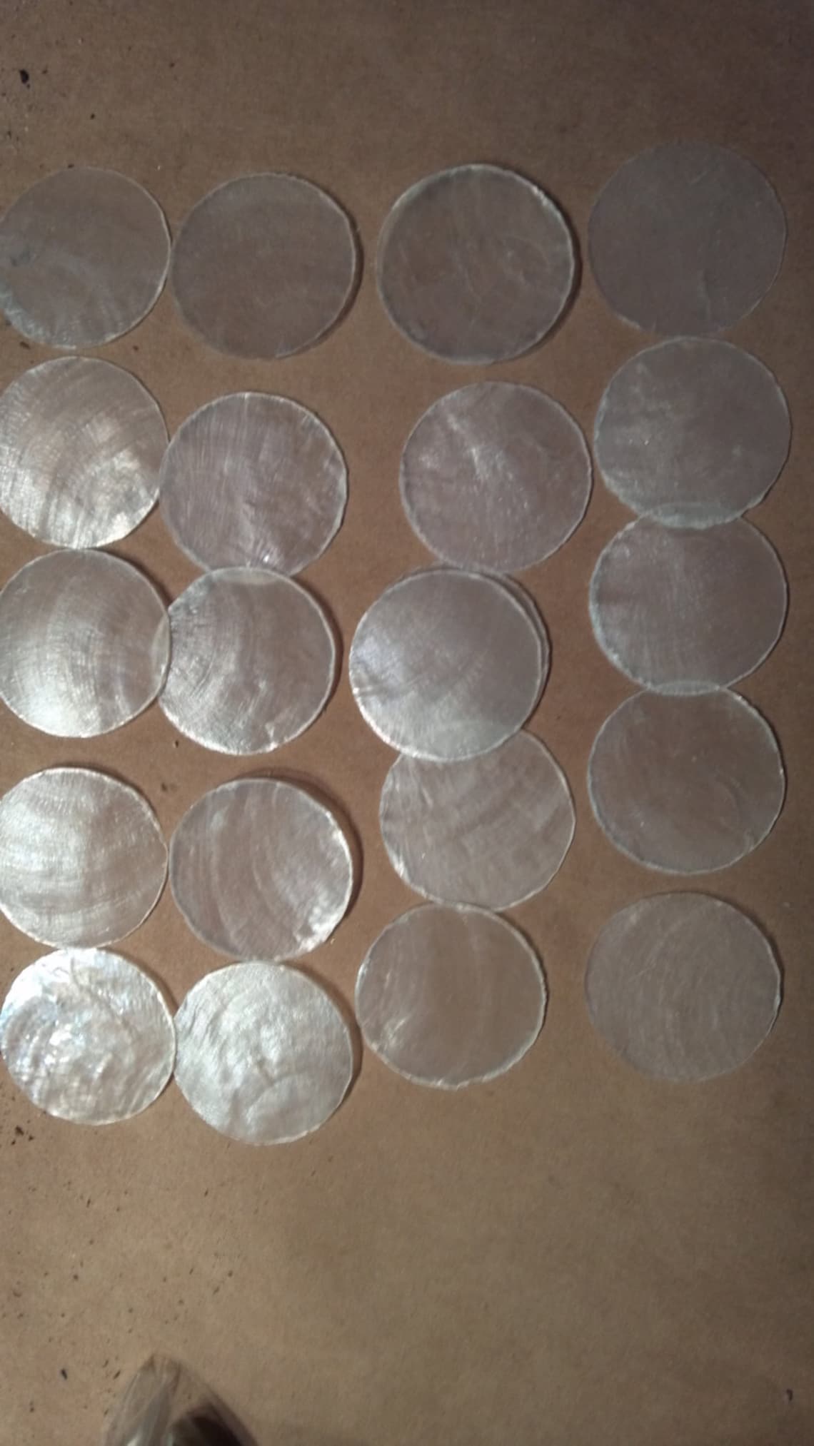 100 1 Capiz Seashells 1 Inch 2.5 Cm Flat Shells Natural - Etsy