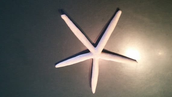 5 pieces Faux Starfish Resin 8 inches large white | Etsy