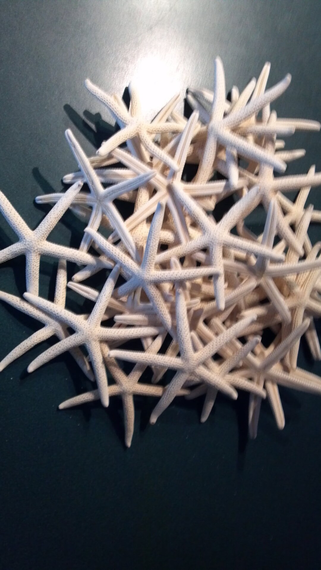 25 Pieces Pencil Finger Starfish Sea Stars off White Starfish Place ...