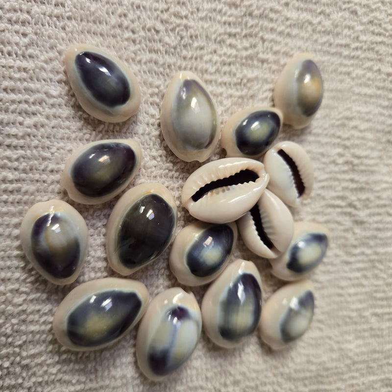 Purple & Cowrie Shell - Etsy