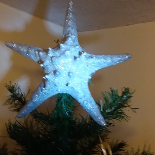 Starfish Tree Topper | Etsy