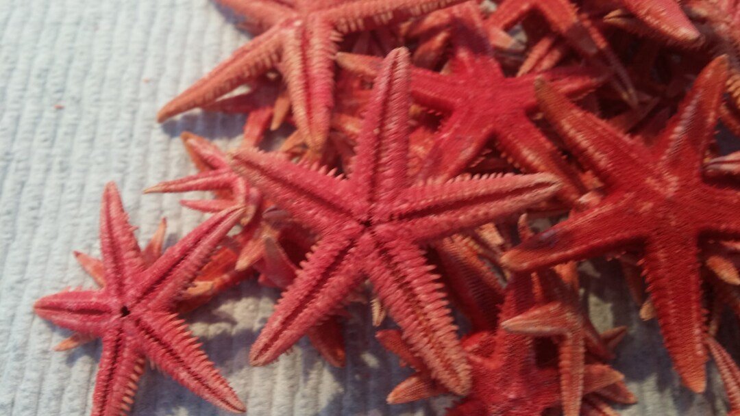5 to 200 Pieces Red Flat Stars Small 3/4 to 2 Res - Etsy