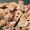 1 to 100 Donkey Ear Second Quality Abalone Shells Iridescent Pearl ...