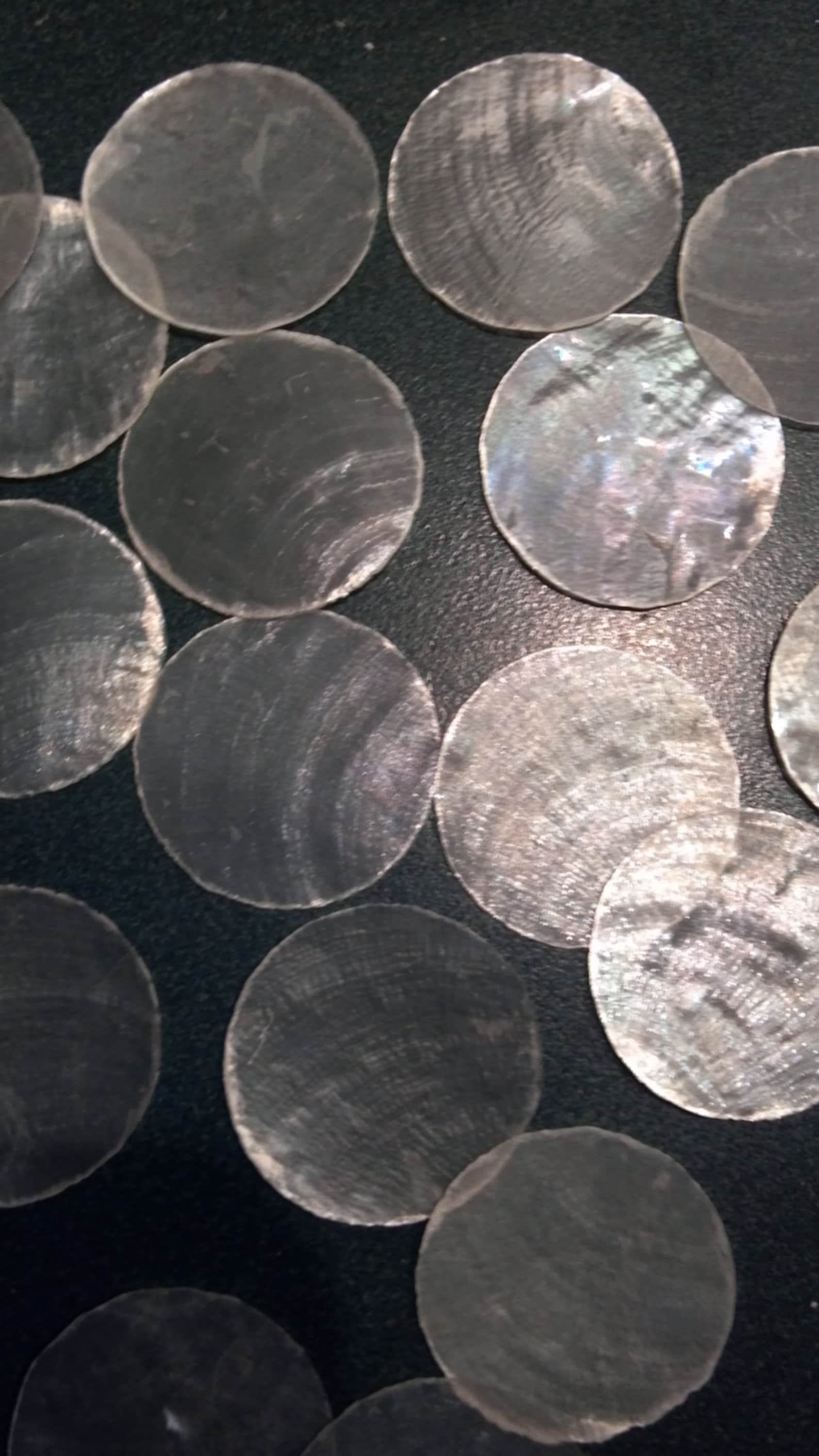 100 1 Capiz Seashells 1 Inch 2.5 Cm Flat Shells Natural - Etsy