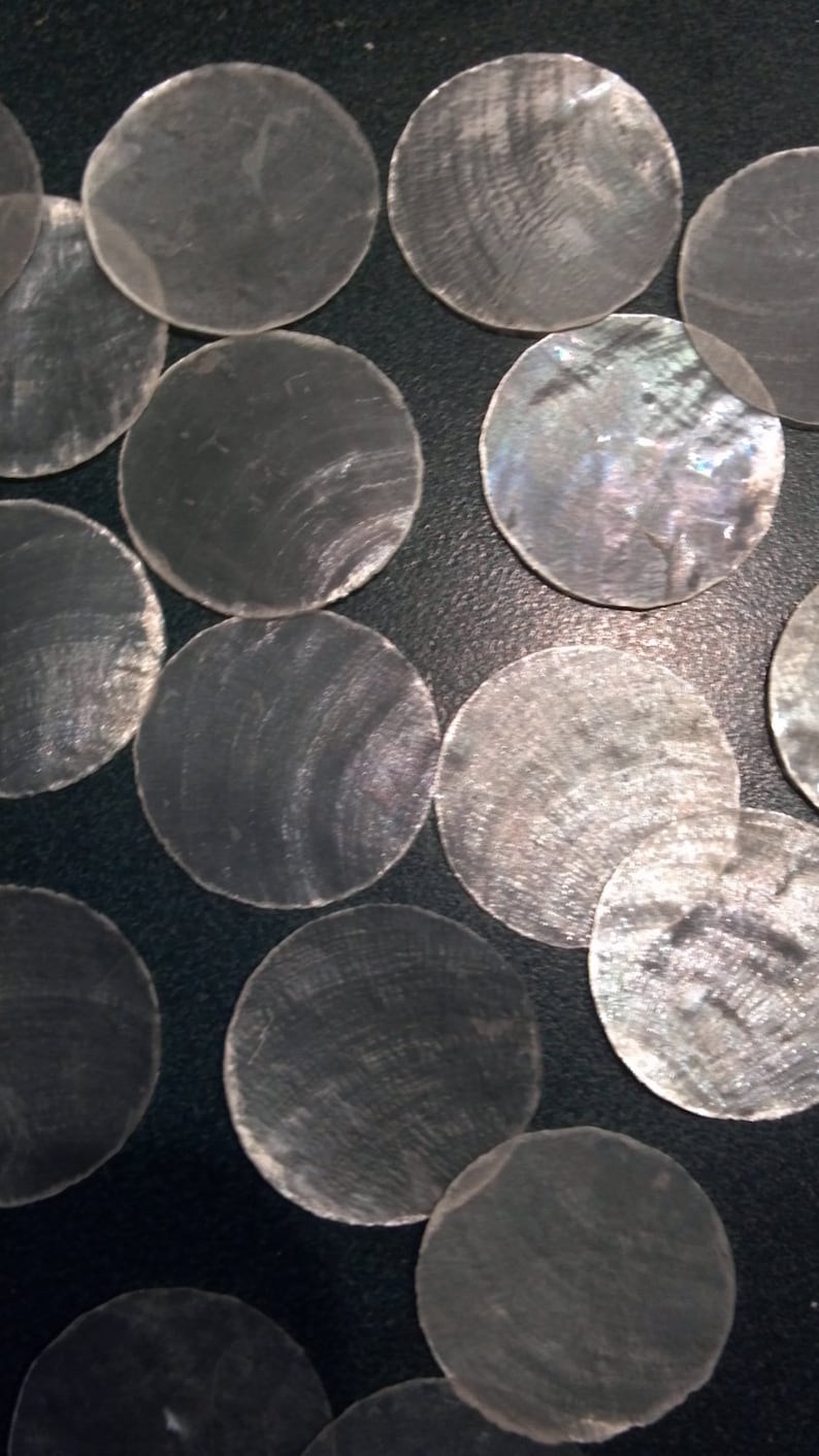 100 1 Capiz Seashells 1 Inch 2.5 Cm Flat Shells Natural - Etsy