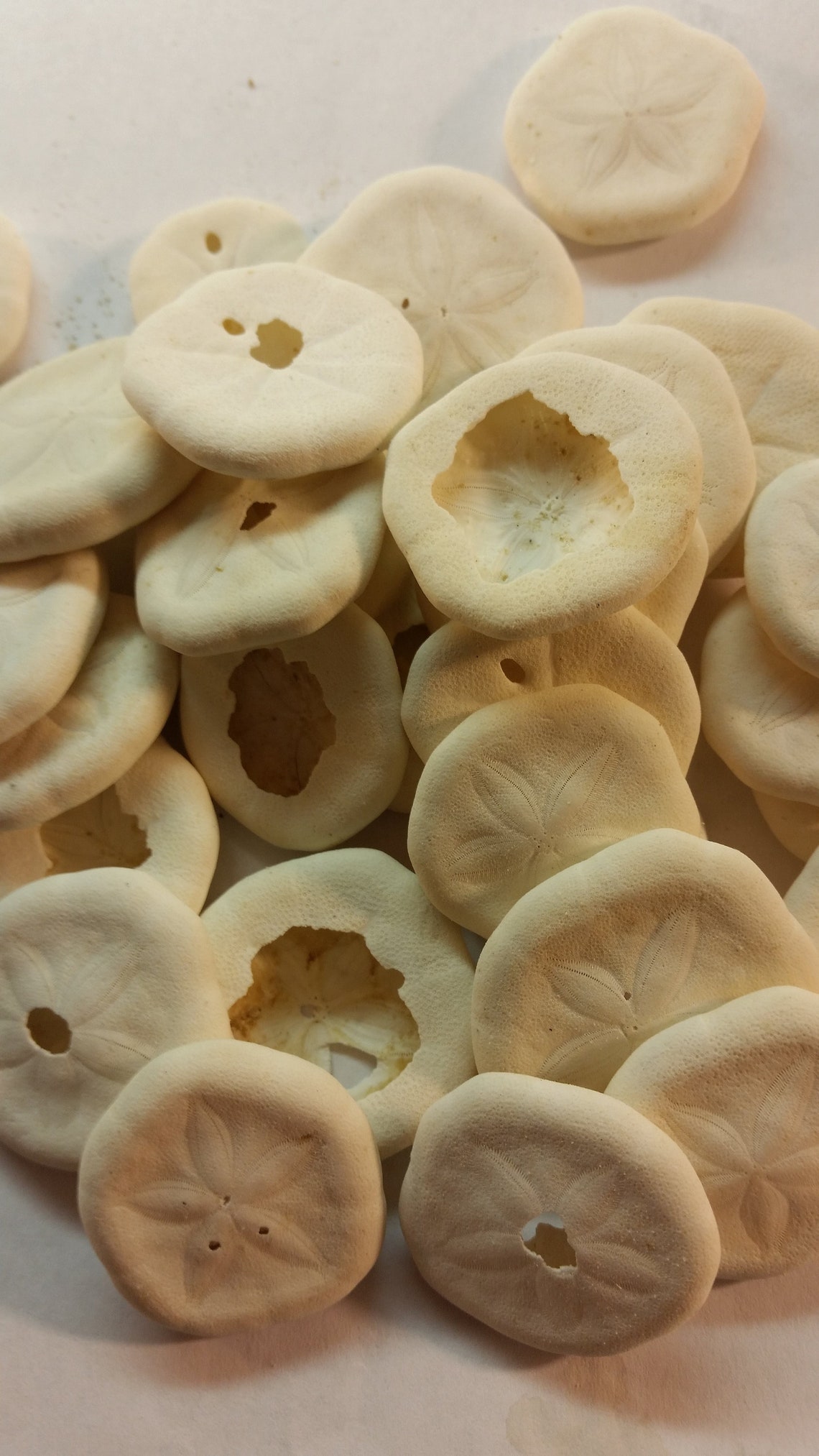 100 White Cookies Sea Biscuits Small Cookies Nautical Beach | Etsy