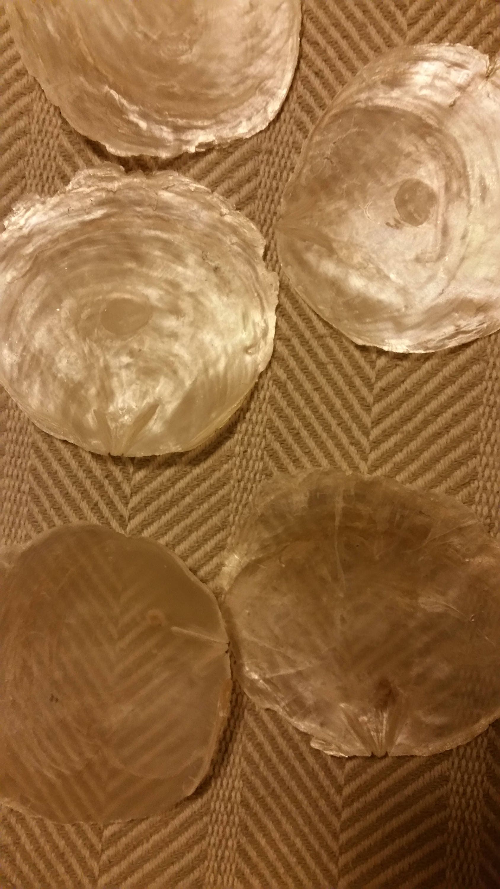 Crafts Supplies 3 6 12 15 25 50 75 or 100 pieces Capiz Raw Edge ...