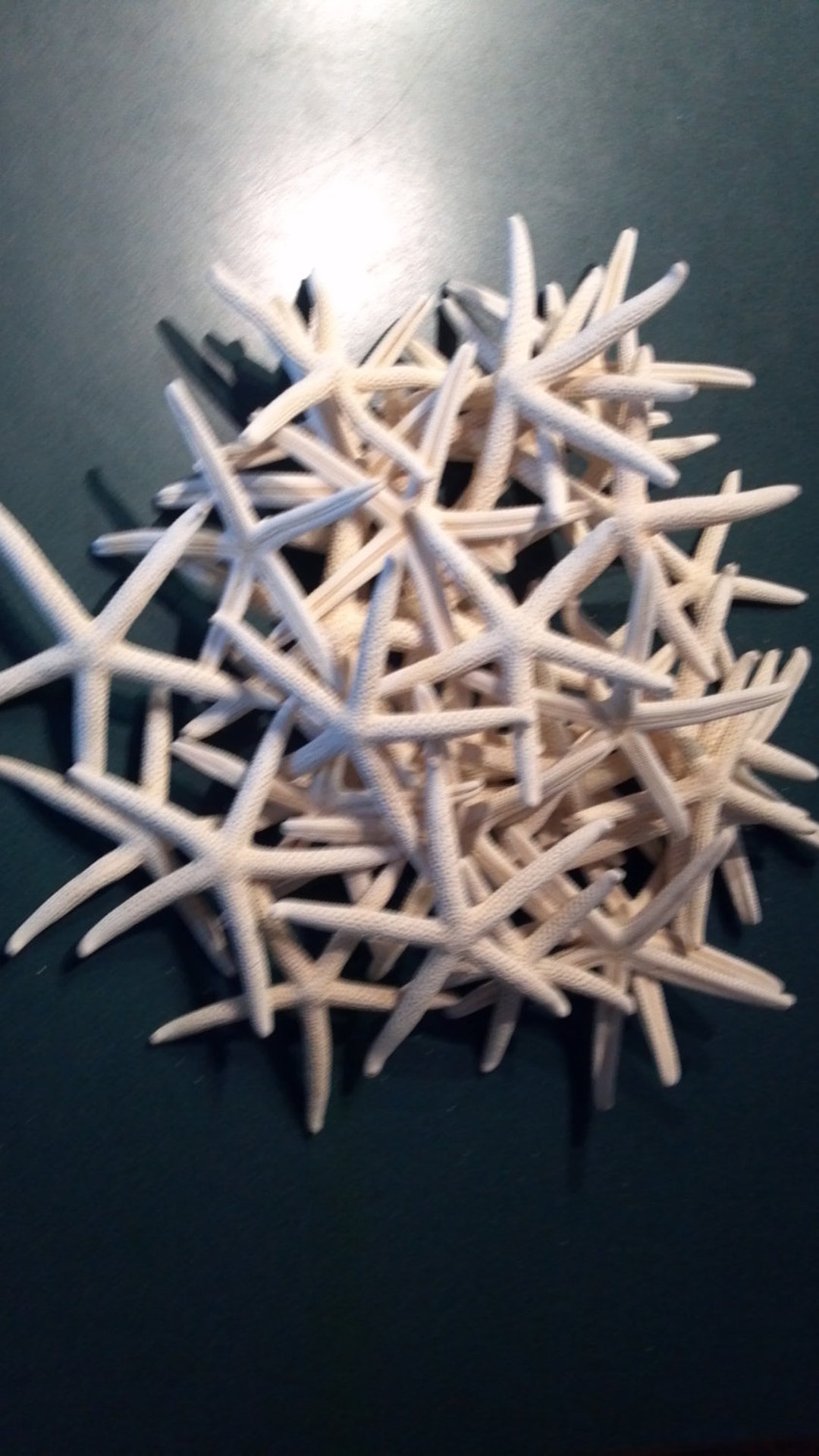 1 to 35 Pcs Hand Picked Starfish 3" to 4" Inches Finger Starfish ...
