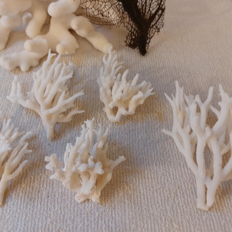 Coral Ivory Wedding - Etsy