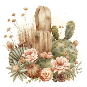Watercolor Cactus Clipart – Boho Desert Flowers (digital Download) - Etsy