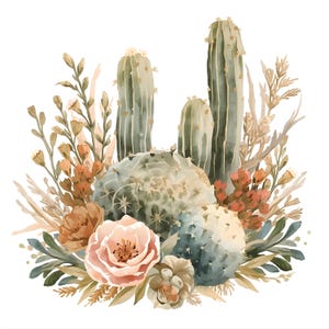 Watercolor Cactus Clipart – Boho Desert Flowers (digital Download) - Etsy