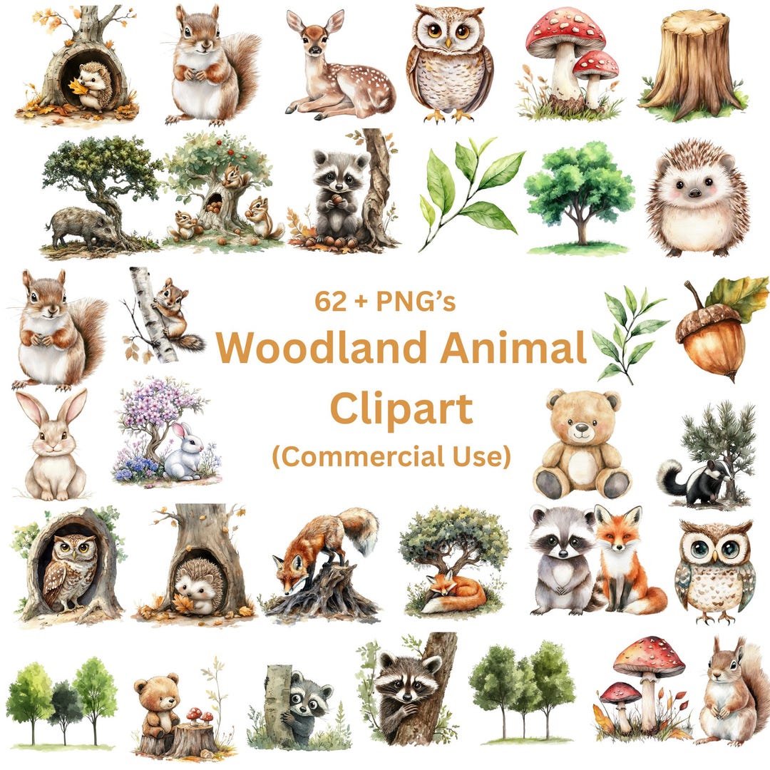 Woodland Animals Clipart Bundle (62+ Pngs): Forest Animals PNG, Nursery ...