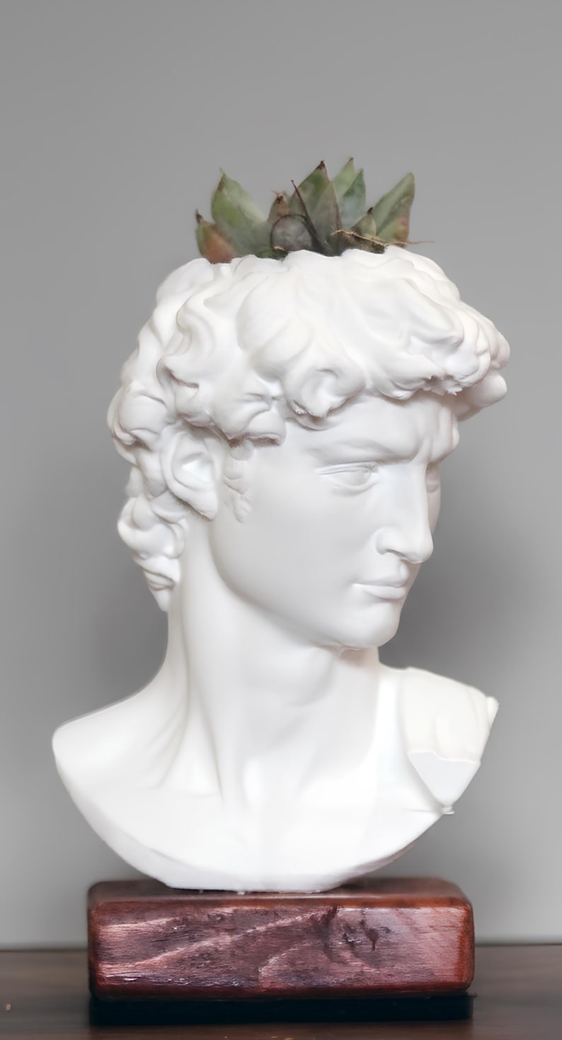 David Bust Planter Set | 3D Printed Michelangelo Statue Pots With Wood ...