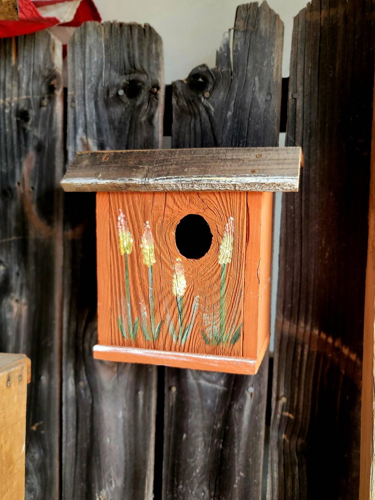 Birdhouse Of Orange at Tayla Thornton blog