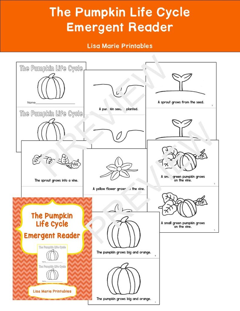 The Pumpkin Life Cycle Emergent Reader - Etsy