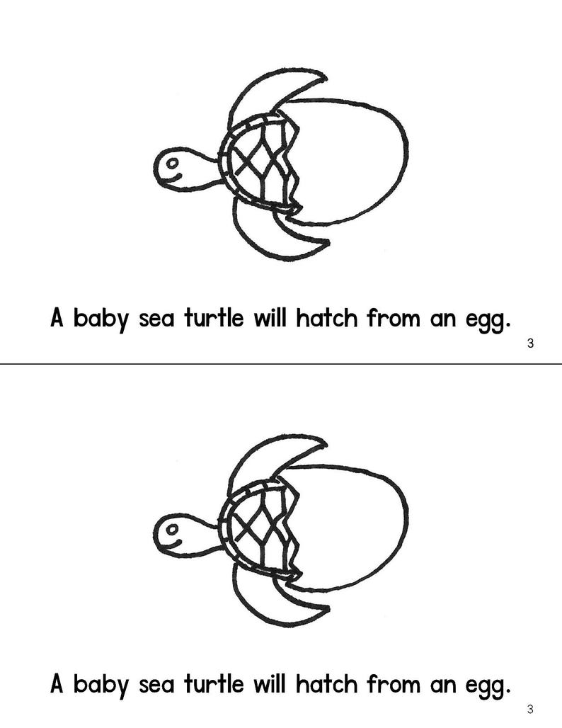 The Sea Turtle Life Cycle Emergent Reader - Etsy