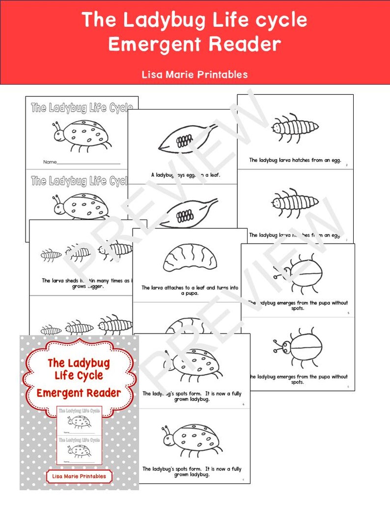The Ladybug Life Cycle Emergent Reader - Etsy