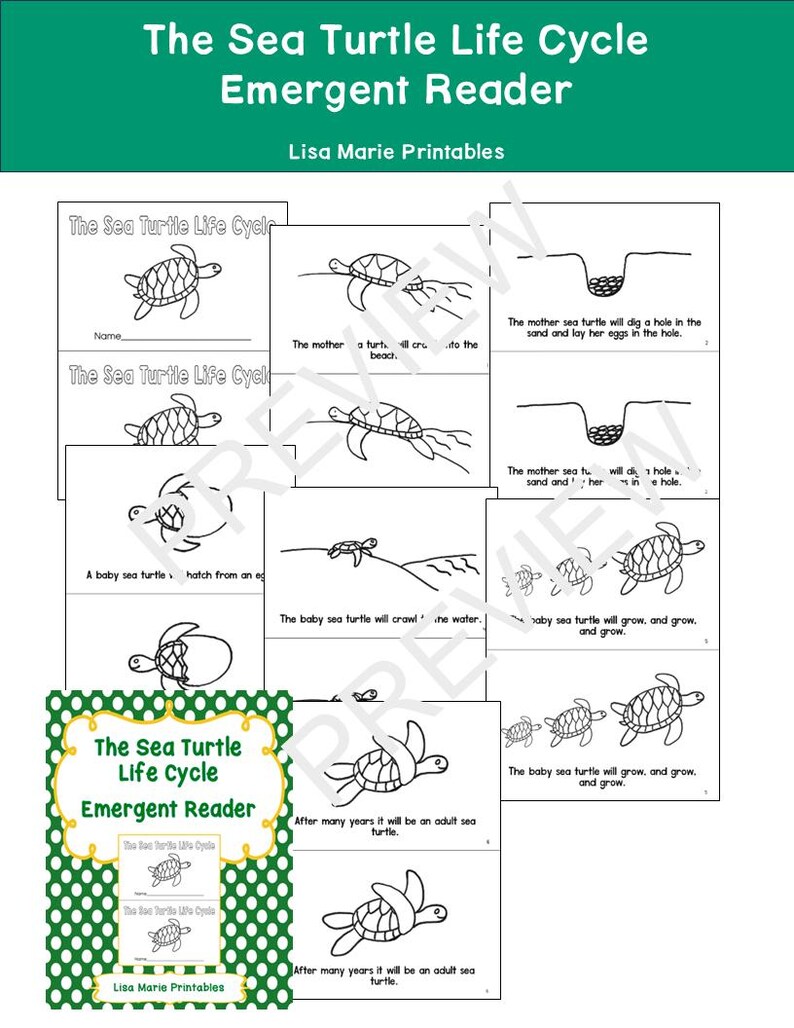 The Sea Turtle Life Cycle Emergent Reader - Etsy