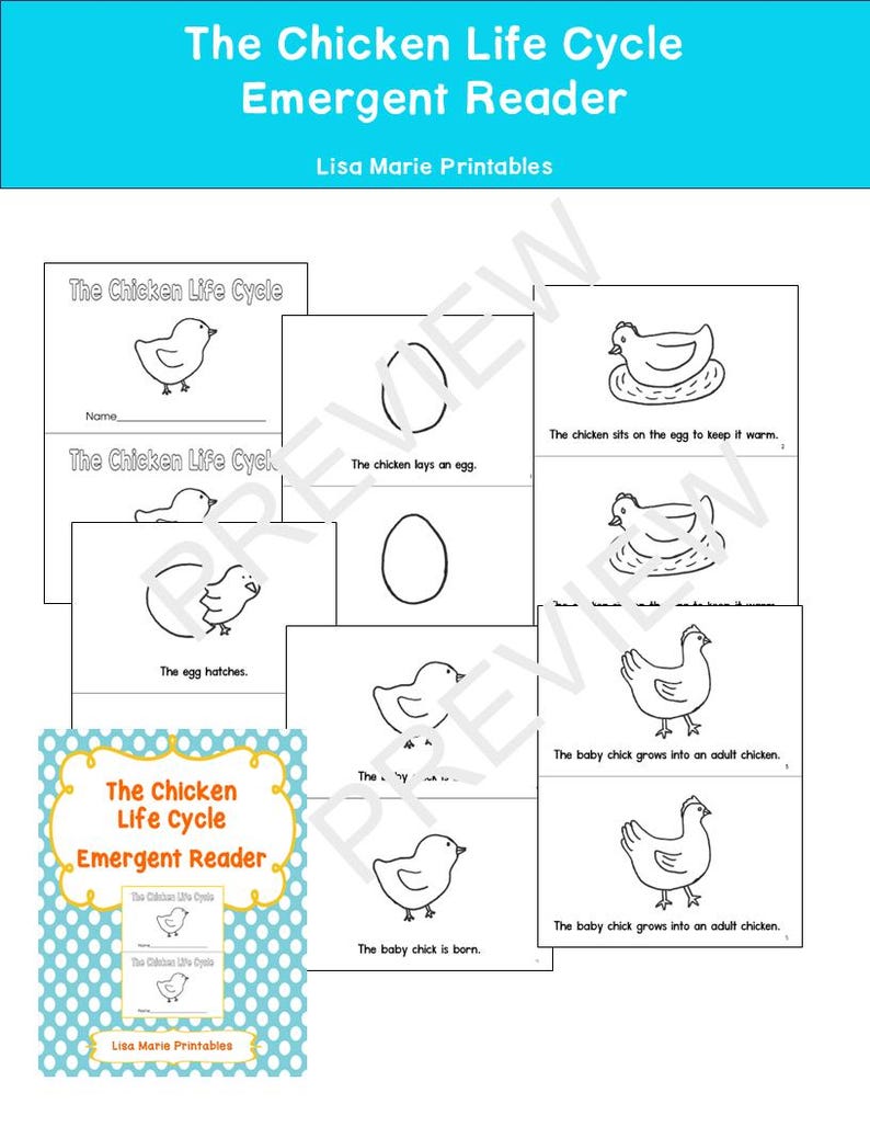 The Chicken Life Cycle Emergent Reader - Etsy UK