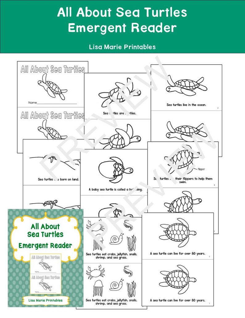 All About Sea Turtles Emergent Reader - Etsy