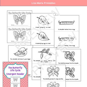 The Butterfly Life Cycle Emergent Reader - Etsy