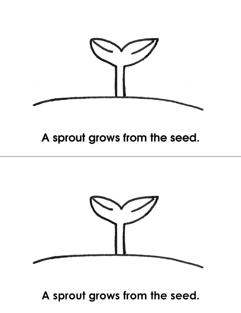 The Pumpkin Life Cycle Emergent Reader - Etsy