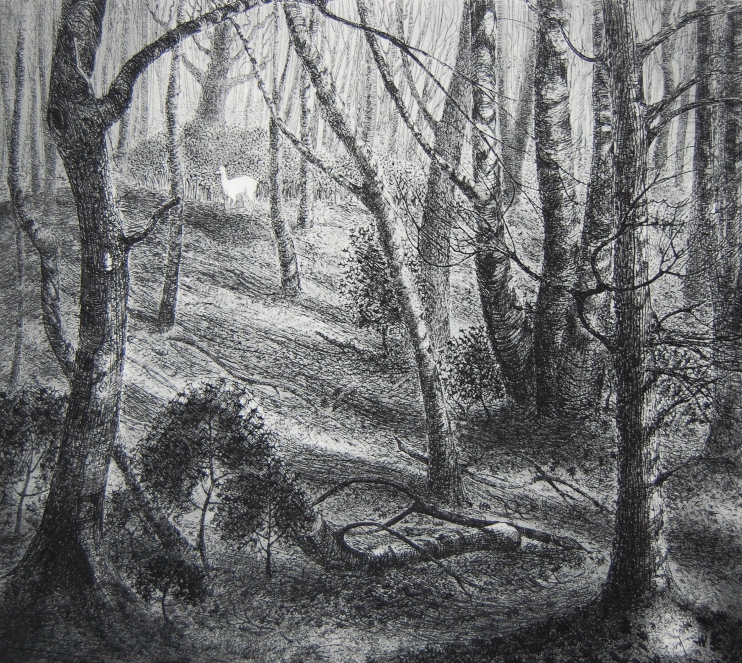 The White Hart, Etching by Flora Mclachlan, Sunlight in the Woods, Deer ...
