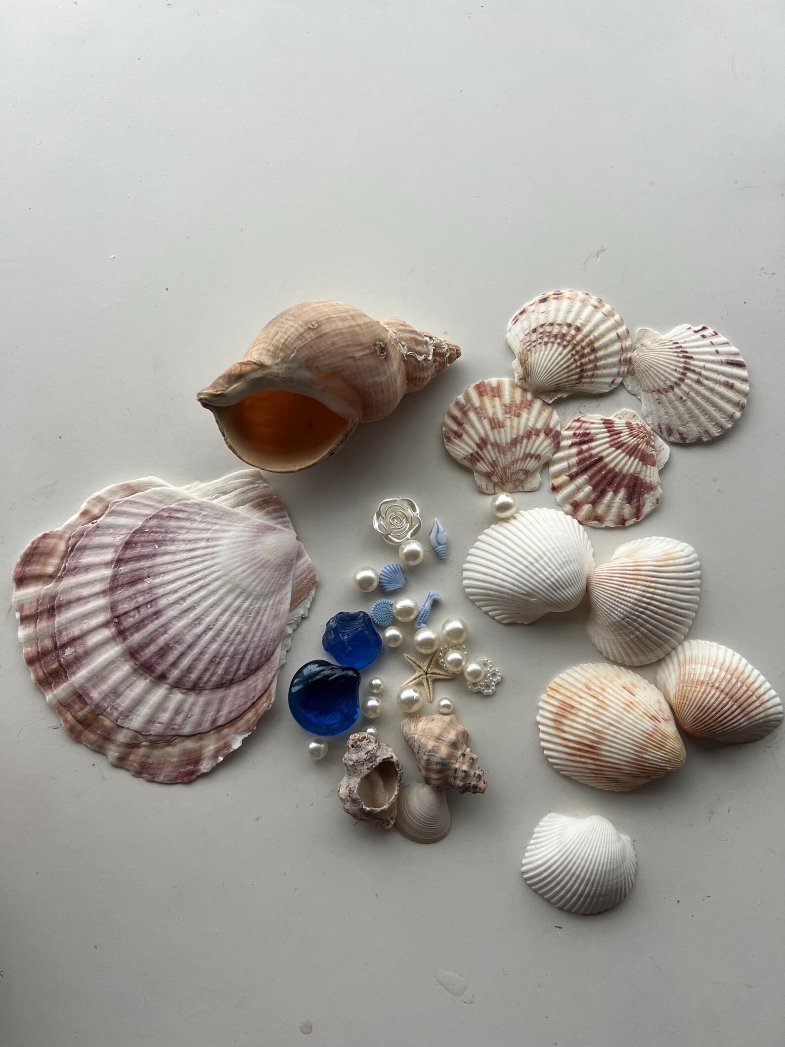 Seashell Jewellery Holder Kit (seashells and Glass Collection) - Etsy