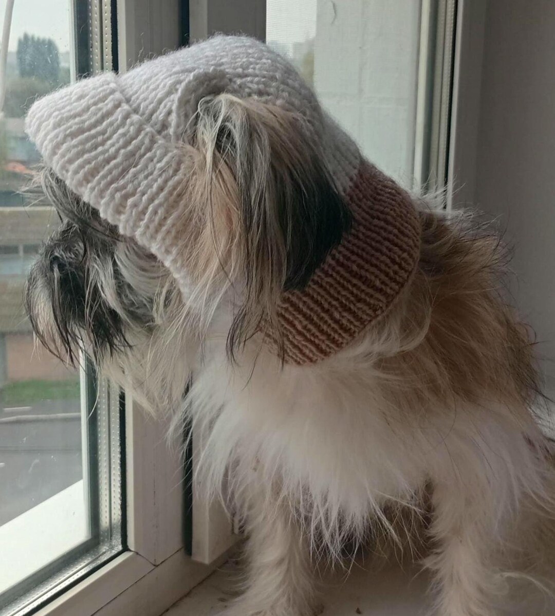 Knitting Pattern Dog Hat PDF - Etsy