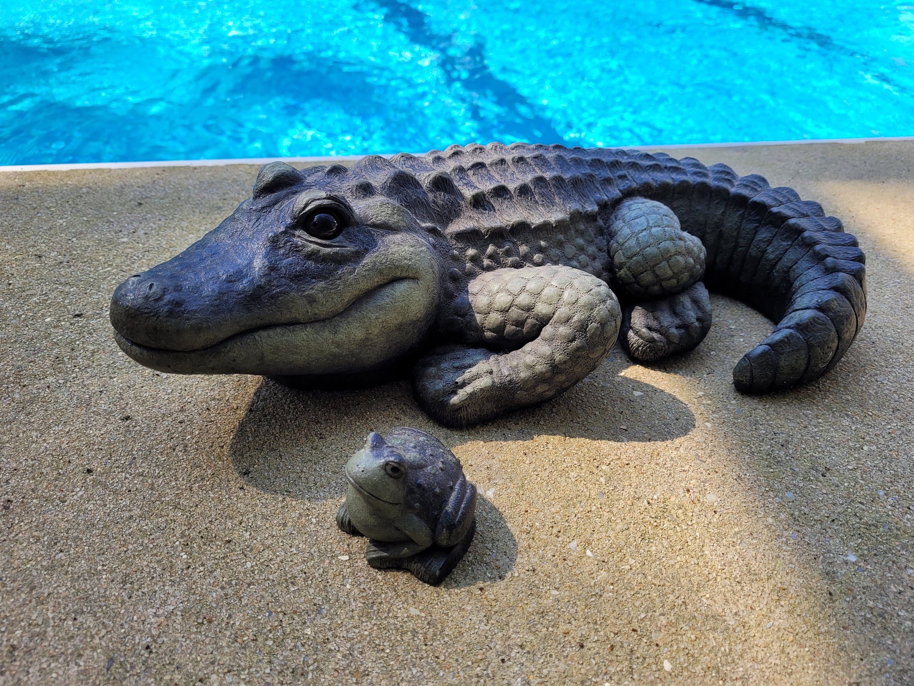 Alligator Glass Eyes