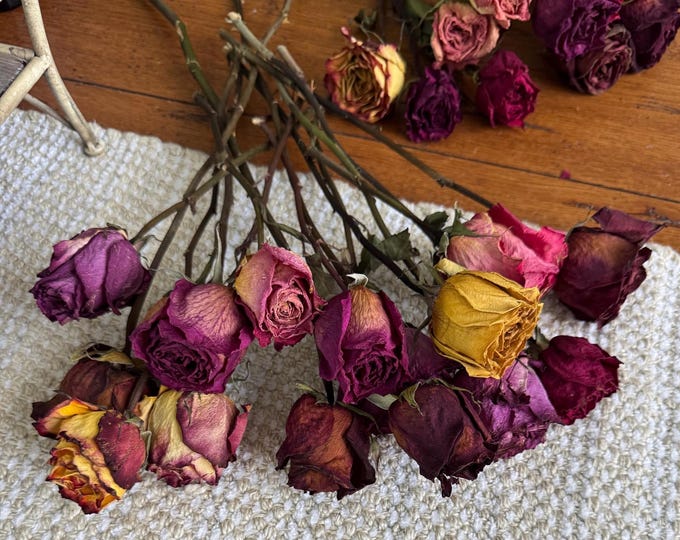 Dried Rose Stems Dried Rose Buds Dried Rose Flowers Rose Flower Crafts ...