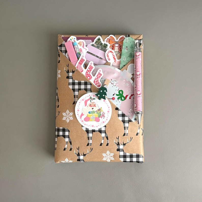 Christmas Blind Date With a Book Bookish Gift Book Lover Gift ...