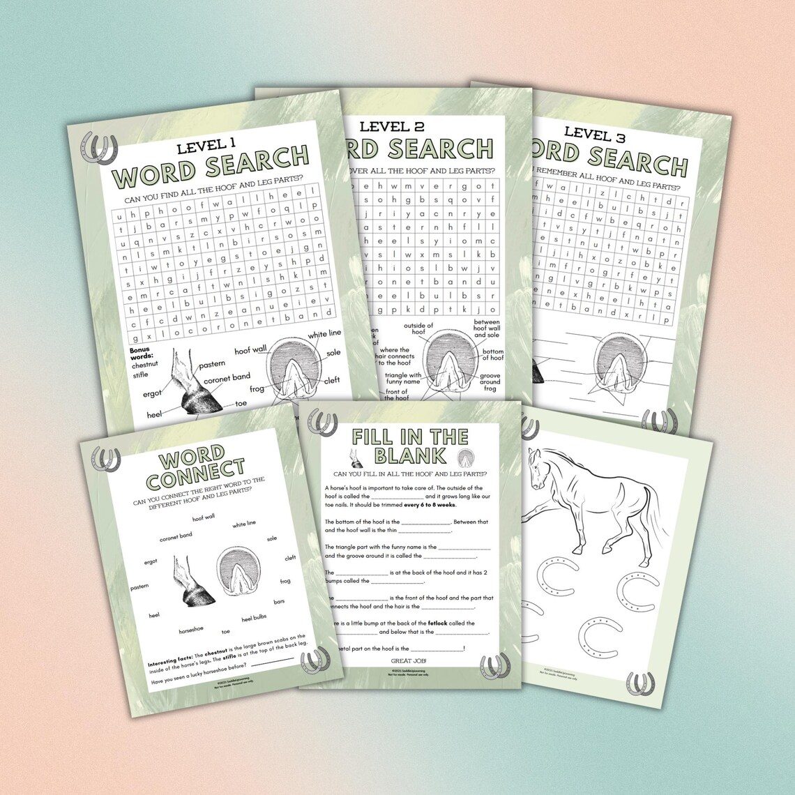 Horse Hoof & Leg Anatomy Learning Pack | 5 Printable Educational ...