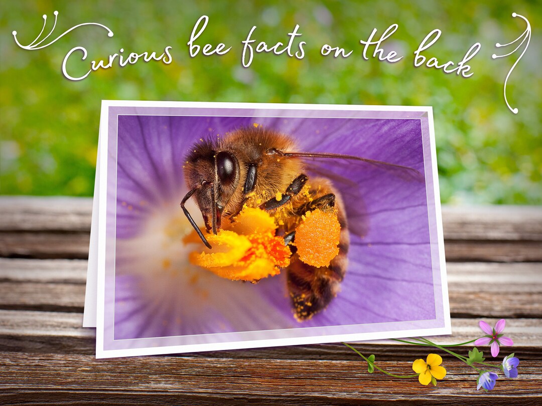 Adorable Honey Bee Greeting Card With Curious Bee Facts, Sparkling ...