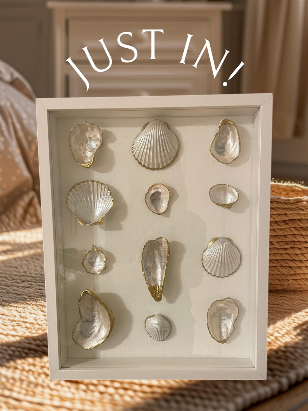 Coastal Shell Shadow Box - Etsy