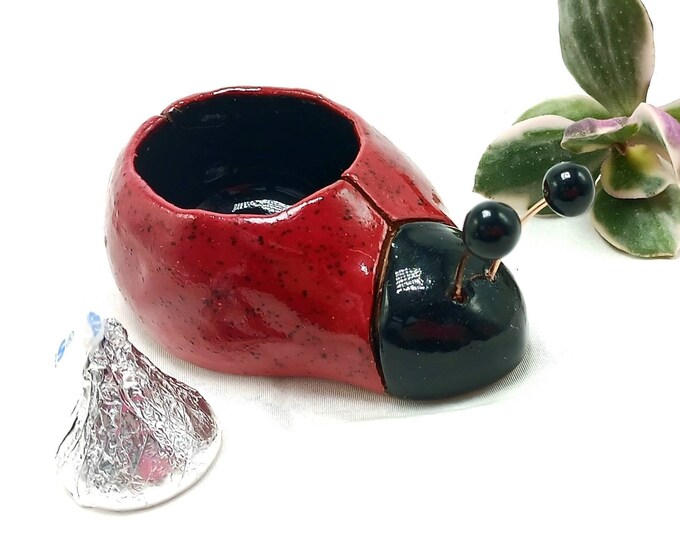 Ceramic Succulent Planter, Cactus Ladybug Ladybird Pot, Gardener Gift ...