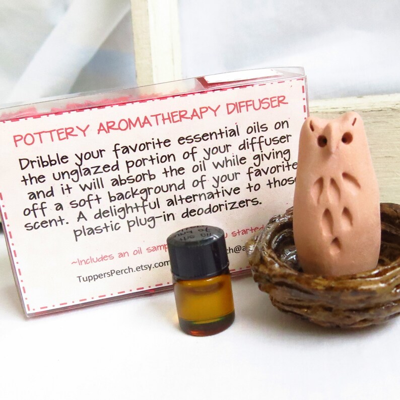 Ceramic Owl Aromatherapy Set Oil Diffuser, Earthy Spa Yoga Meditation ...