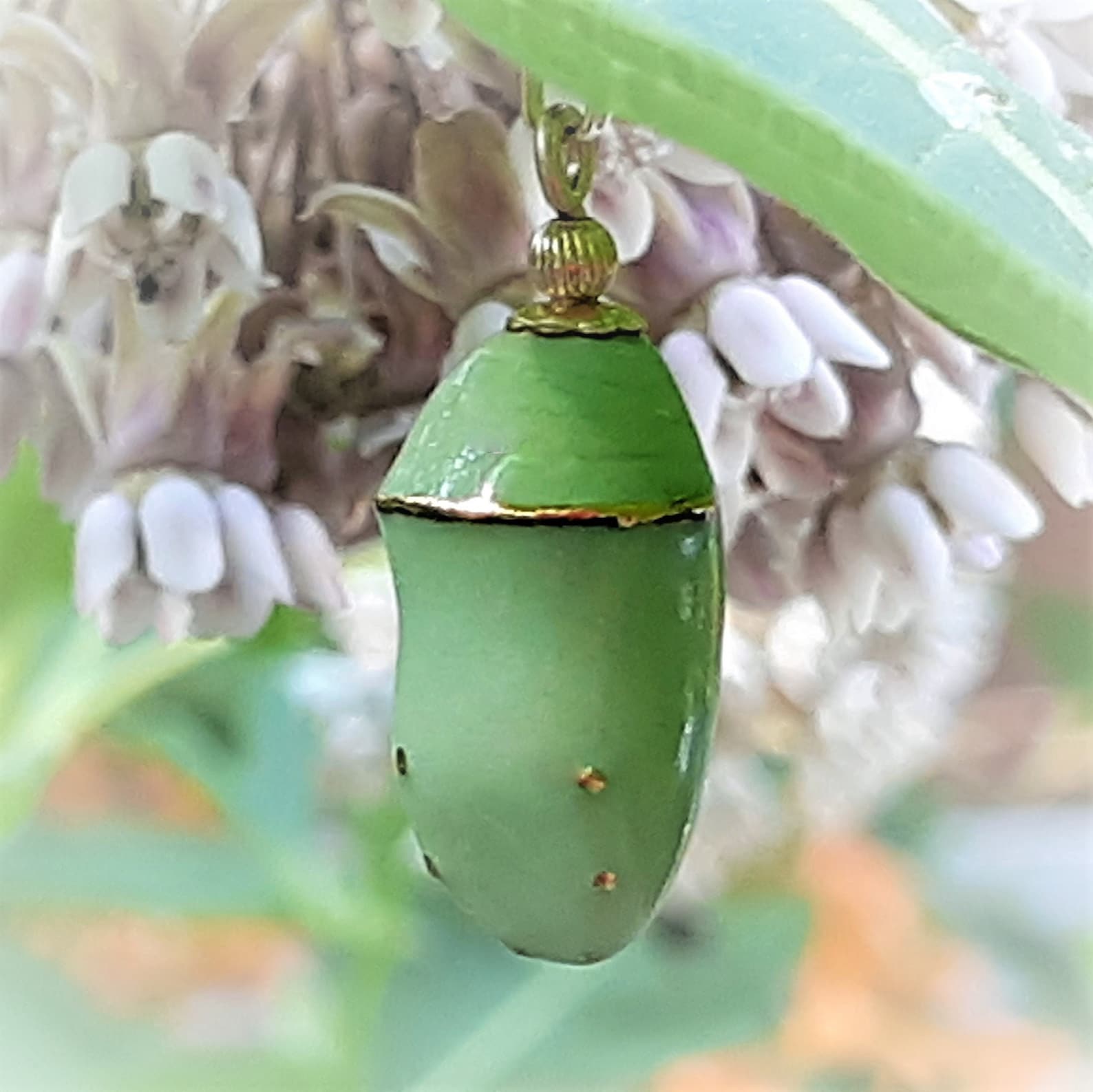 Monarch Butterfly Chrysalis Pottery Cocoon Jewelry Lover | Etsy