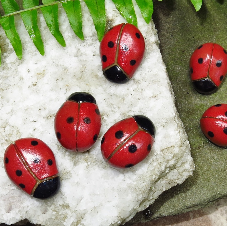Miniature Pottery Ladybug 1 Succulent Garden Decor Sculpted | Etsy