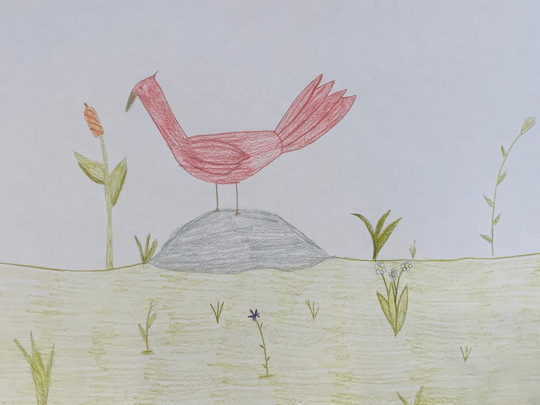 Red Bird Drawing - Red Pheasant on a Rock - Colored Pencil and Pencil ...