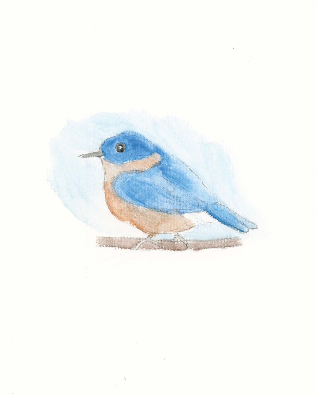 Bird Watercolor - Baby Bluebird Art Print - Bird Illustration ...
