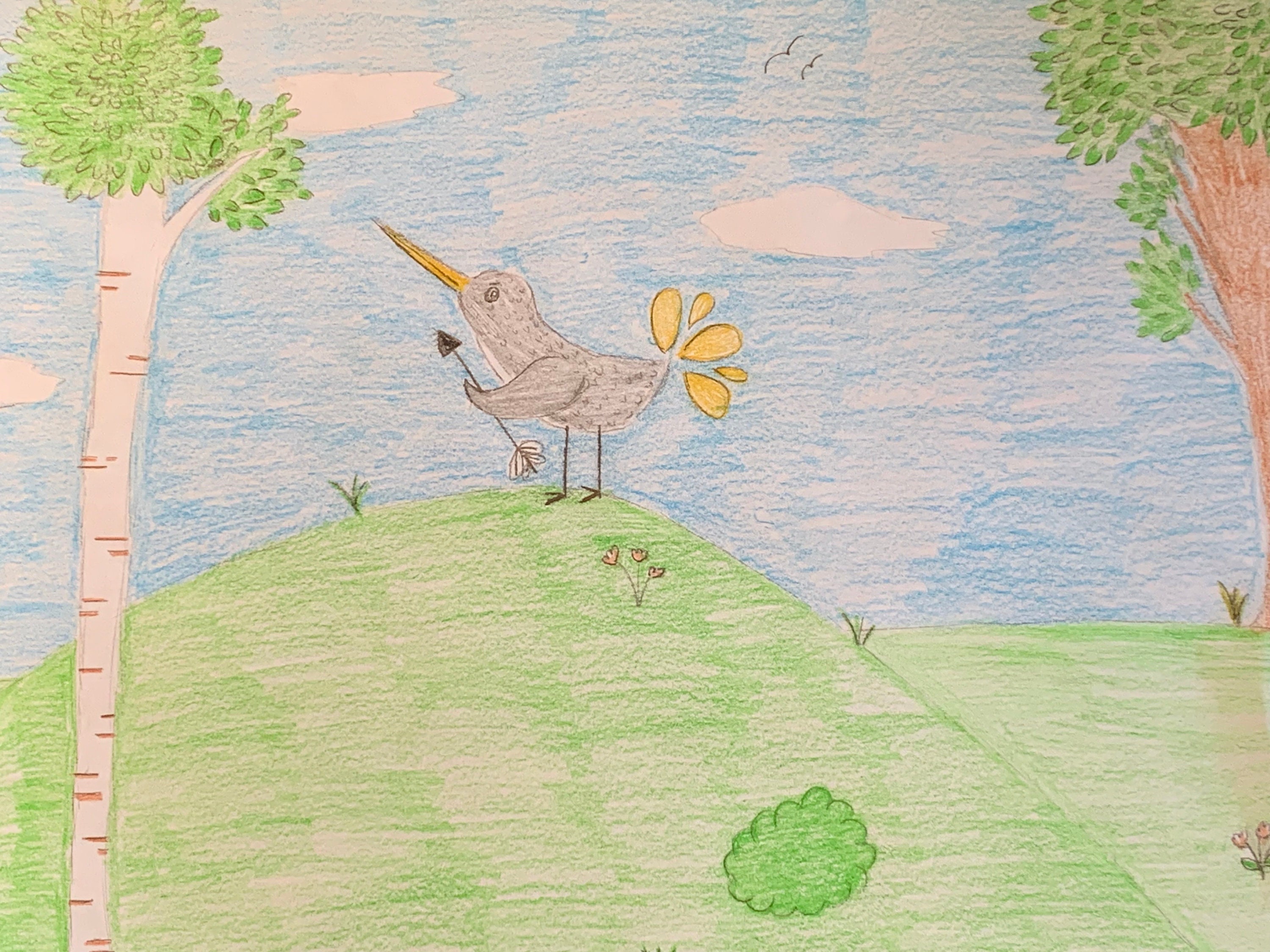 Gray Bird Drawing Bird Archer Art Colored Pencil and - Etsy