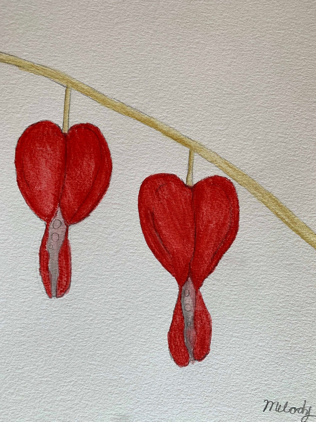 Flower Art Original Drawing - Bleeding Heart Art -flower Illustration ...