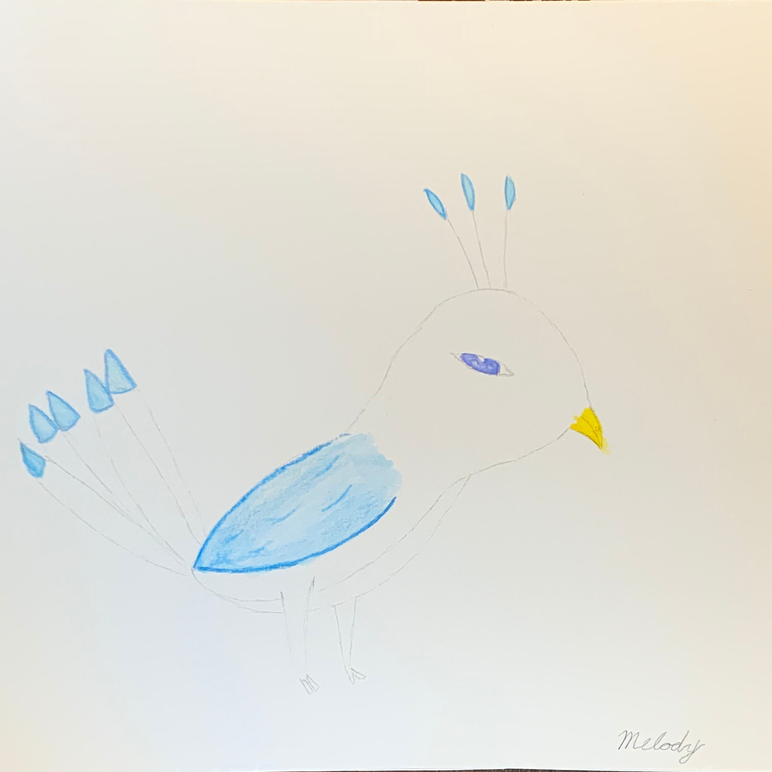 Blue Bird Drawing For Kids