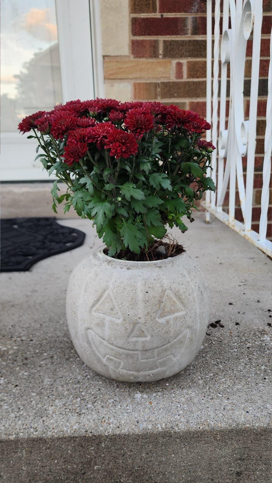 Cement Pumpkin Tiki Torch - Planter - Etsy