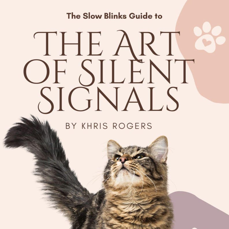 Cat Body Language Guide Digital Download- Understand Your Cat’s ...