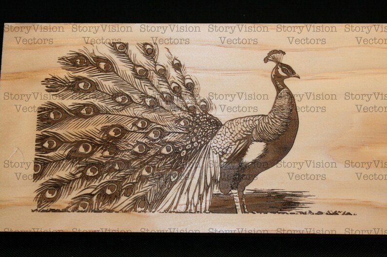 Peacock Vector File for Laser Engraving | Intricate Bird Design | CNC ...