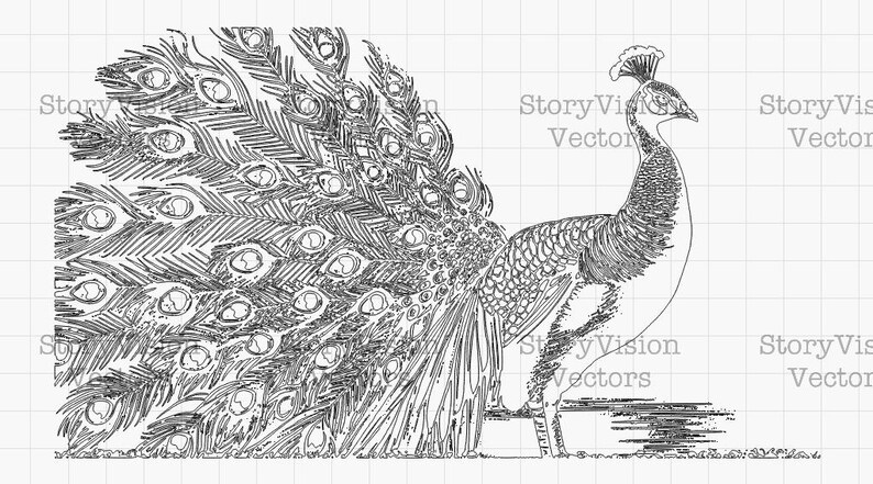 Peacock Vector File for Laser Engraving | Intricate Bird Design | CNC ...